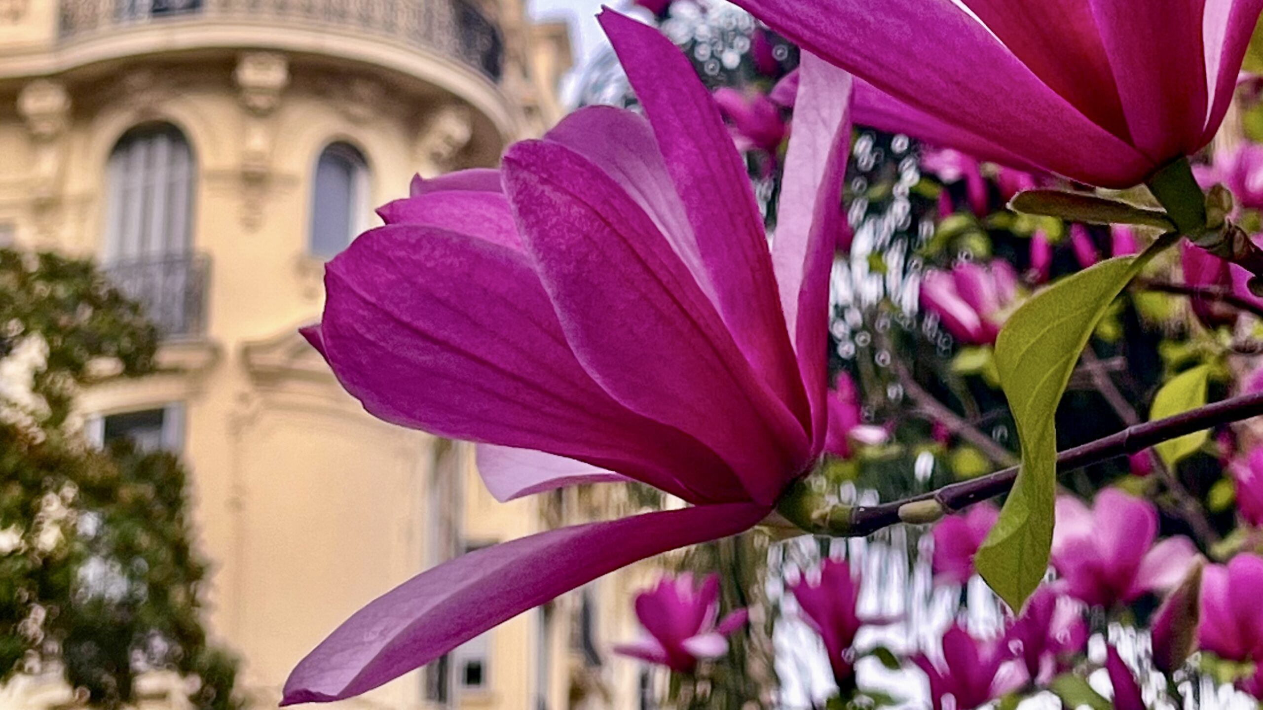 Mes 10 conseils pour bien débuter le Printemps 🌸 - Clef Du Rêve